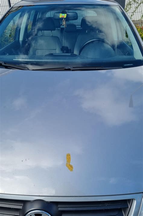 Hello Can Somebody Please Help Me With This Curious Stain Rautos