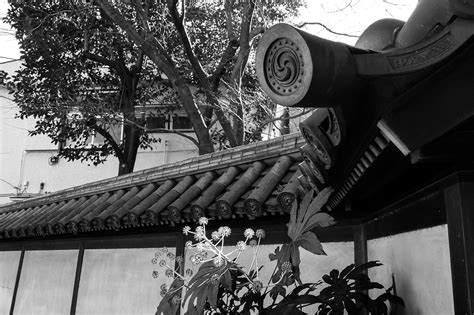 Untitled 名主の滝公園 東京都北区岸町 Takayuki Miki Flickr