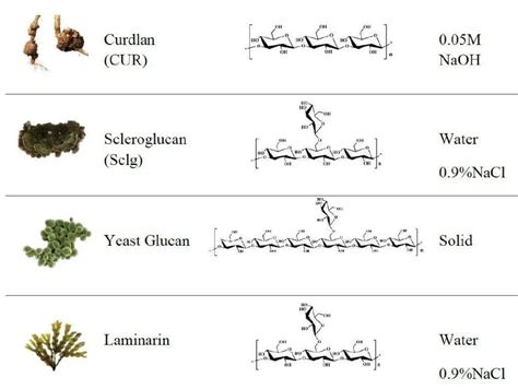 合壹商埠：【合壹专家】裂裥菌素（一）——β 葡聚糖！ 知乎