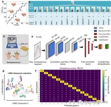 《acs Nano》：仿生超属性电子皮肤！可用于机器人和皮肤附着可穿戴设备！ 知乎