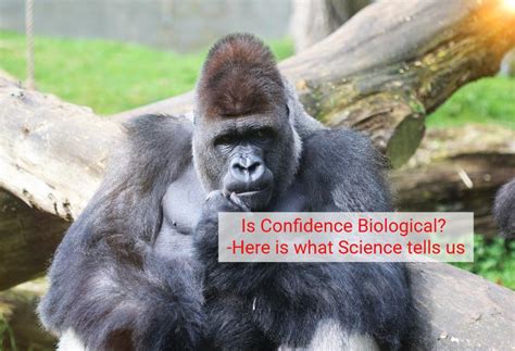 Is Confidence Biological Are We Screwed Without The Gene Confidence Reboot