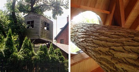 Here S How To Build A Treehouse In 10 Easy Steps Here S How To Build A Treehouse In 10 Easy Steps