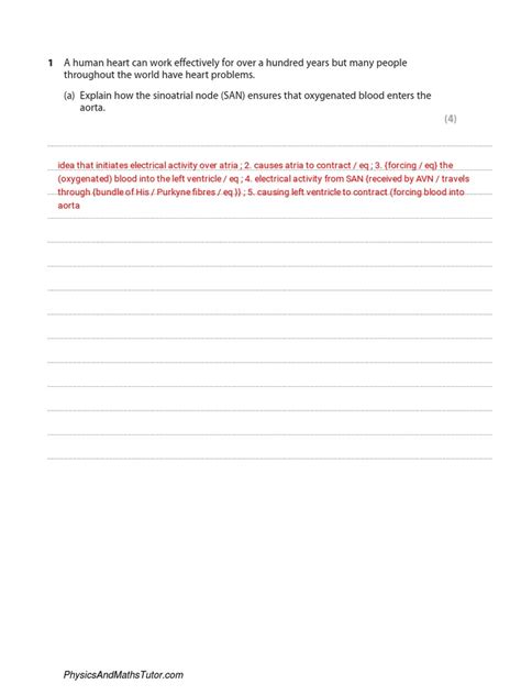 Kami Export Circulation 2 Qp Pdf Heart Body Mass Index