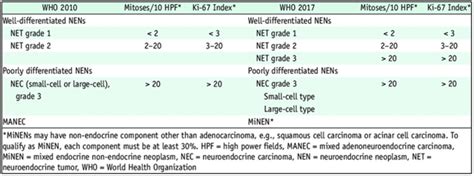 Neuroendocrine Tumor Of The Appendix A Case Report And Review Of Literature Clinicsearch