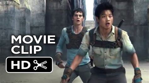 Sex klipp från The Maze Runner Observera mellanslaget Feber Film TV