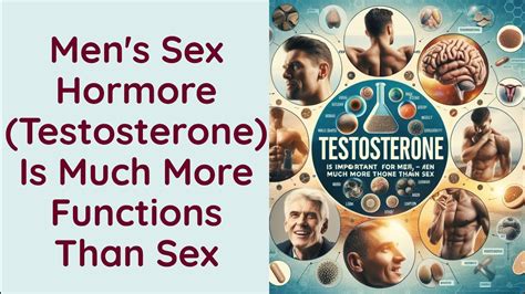 Mens Sex Hormore Testosterone Is Much More Functions Than Sex Youtube