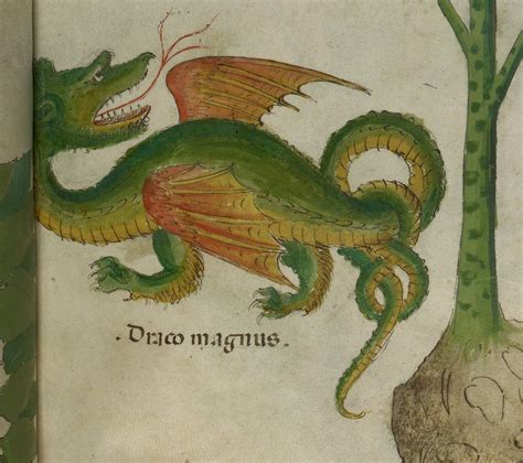 Julian Harrison On Twitter Illuminated Manuscript Medieval Dragon