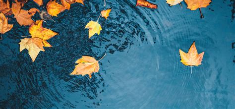 The New Rules Of Diversification Correlation Matters Locorr Funds