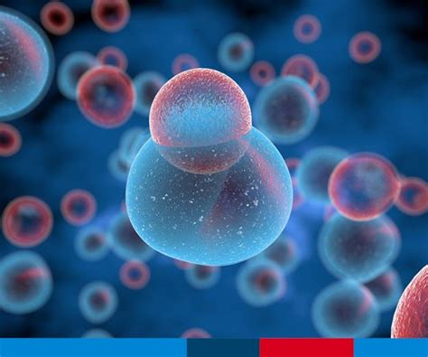 Evaluation Of Different Ion Pairing Reagents For Lc Uv And Lc Ms Analysis Of Oligonucleotides