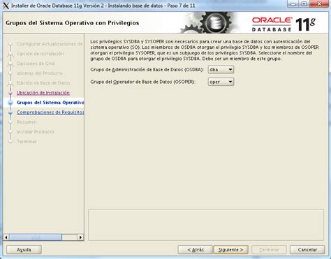 Ayuda Para Tus Sistemas Instalación Oracle Rac 11g Asm