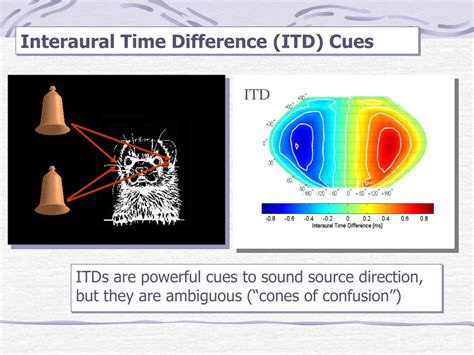 Ppt Localising Sounds In Space Powerpoint Presentation Free Download Id3339465