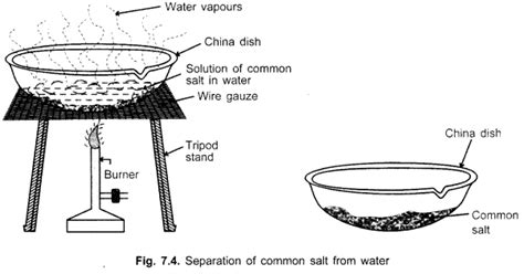 Activity And Practical On Separation Of Mixture Separate The Common