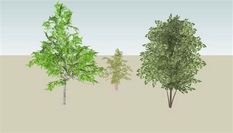 Sketchup Components D Warehouse D Trees