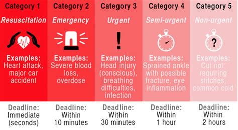 From Triage To Discharge A Users Guide To Navigating Hospitals