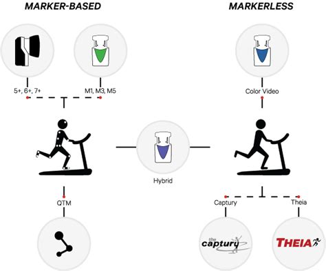 Marker Based Markerless Motion Capture Qualisys