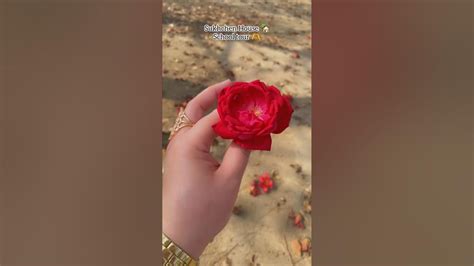 Sukhchen House 🏡 A Village Life Is Full Of Peace And Happiness 🫶