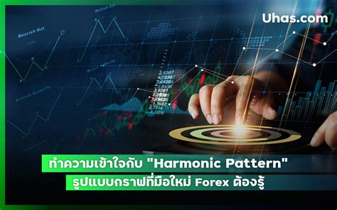 Harmonic Pattern คืออะไร มีกี่รูปแบบ กราฟที่มือใหม่ Forex ต้องรู้