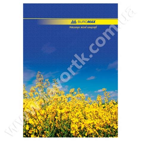 Зошит А4 96 арк клітка ТП ВМ