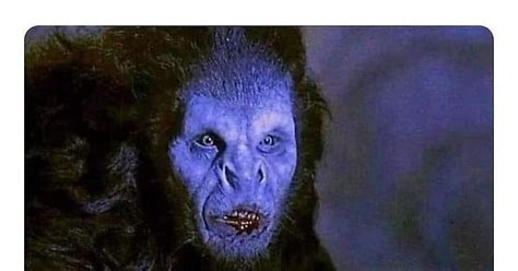 Anti Social Mom Dump I Just Need 5 Minutes To Scream Into The Void