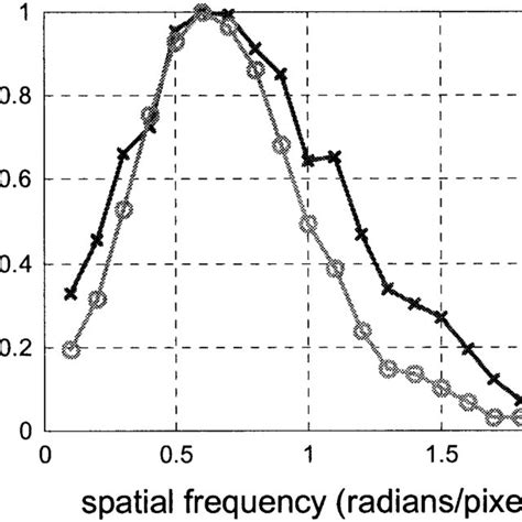 Orientation Tuning With Three Coupled Orientations 0 45 And 90 Download Scientific
