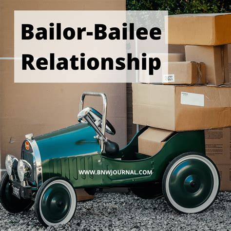 Bailor Bailee Relationship Black N White The Legal Journal