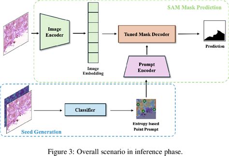 Ep Sam Weakly Supervised Histopathology Segmentation Via Enhanced
