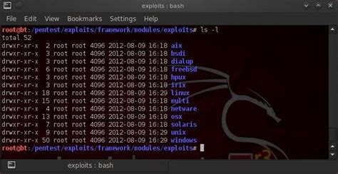 Hack Like A Pro Exploring The Inner Architecture Of Metasploit Null