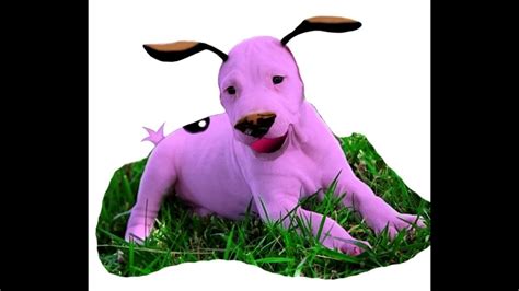 1 Bit 2 Bit 4 Bit 8 Bit 16 Bit 32 Bit 128 Bit 256 Bit 512 Bit 1024 Bit