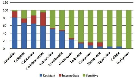 Antibiotic Resistance Pattern Of E Coli Download Scientific Diagram