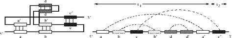 Figure 21 From Implementation Improvements To An Rna Pseudoknot Prediction Algorithm By Yunzhou