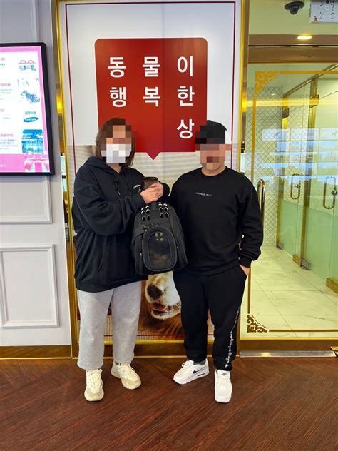 빅토리아 보호소 까미 입양완료 골든리트리버분양 래브라도리트리버 골든리트리버무료분양 브리티쉬숏헤어 프렌치불독 리트리버 웰시코기무료분양 노르웨이숲고양이 빅토리아펫보호소 입양완료