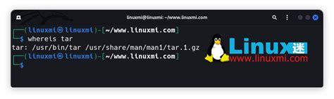 linux 神秘对决：which vs whereis vs whatis linux迷