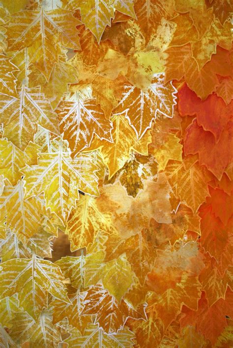 Anthropologie Window Display 2014 Turning Of The Leaves Fall Photo And Post By