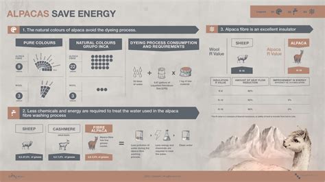 Energy Why Alpaca