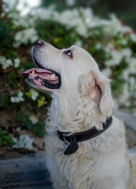 Samvel Gasparyan On Linkedin Every Day Before And After Work Best What