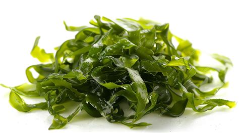 Edible Green Algae Sea Vegetable Isolated Green Chuka Seaweed Salad
