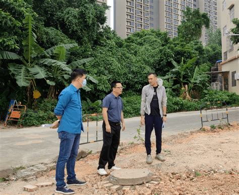 五桂山着力提升农村人居环境档次让乡村旧貌换新颜 整治 建设 宣传