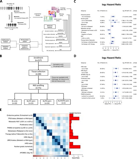 Identification Of Prognostic Markers A Overview Of The Study Design Download Scientific