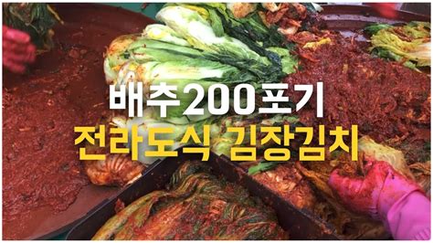 200포기 배추로 든든한 겨울준비 맛있는 김장김치 담그기 Youtube