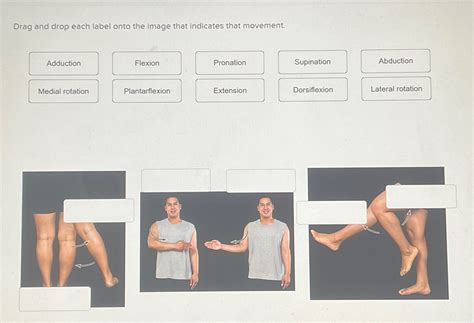 Solved Drag And Drop Each Label Onto The Image That Chegg Com