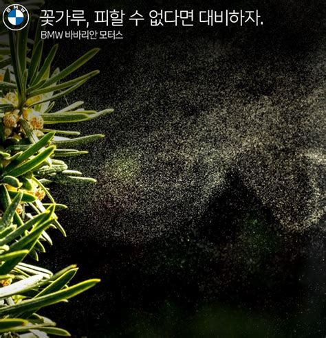 바바리안 모터스 꽃가루는 자동차에게 불청객입니다 차체를 뒤덮어 오염시키기도 하고 실내에 유입돼 비염이나 결막염을 유발하기도 합니다 꽃가루가 흩날리는 시기에 자동차는