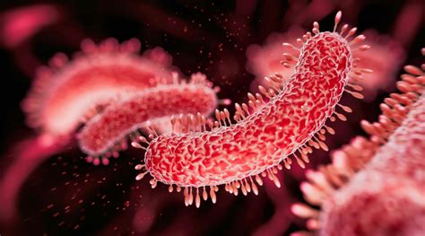 As Tuberculosis Cases Rise In The Us And Worldwide Health Officials