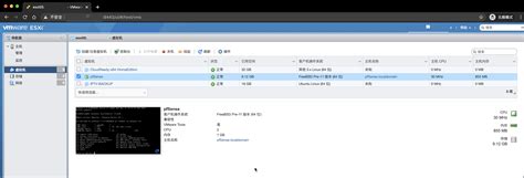 远程访问esxi网页控制台 esxi远程访问 csdn博客
