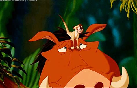 Timon And Pumbaa On Tumblr