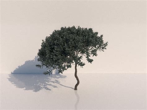 Vegetación Para Revit Tree Deciduous Familias Revit Gratis
