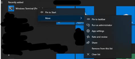 08102610 X64 Msixbundle Installed Terminal But Crash At Startup