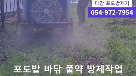 다감 포도방제기를 활용한 과수원 바닦면 풀약 방제작업 🧡정부보조사업 가능모델💛 포도방제기 포도약치는기계 포도약차 Youtube