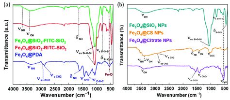 Ftir Spectra Of A Single Core Mnps Fe 3 O 4 Pda Blue Pattern Fe Download Scientific