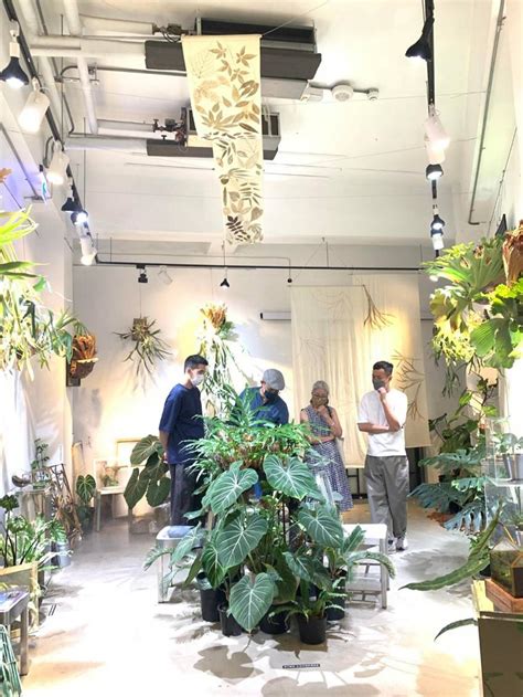 台中紅點文旅藝術亮點「美好藝廊」 打造室內的植物島嶼 翻爆 翻報