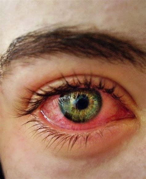 მოდი ჩაილურის წყალი დალიე